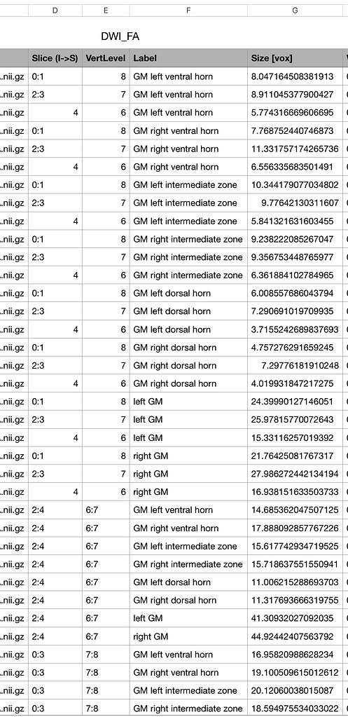 What is the meaning of I-S in the csa document - SCT - Spinalcordmri.org